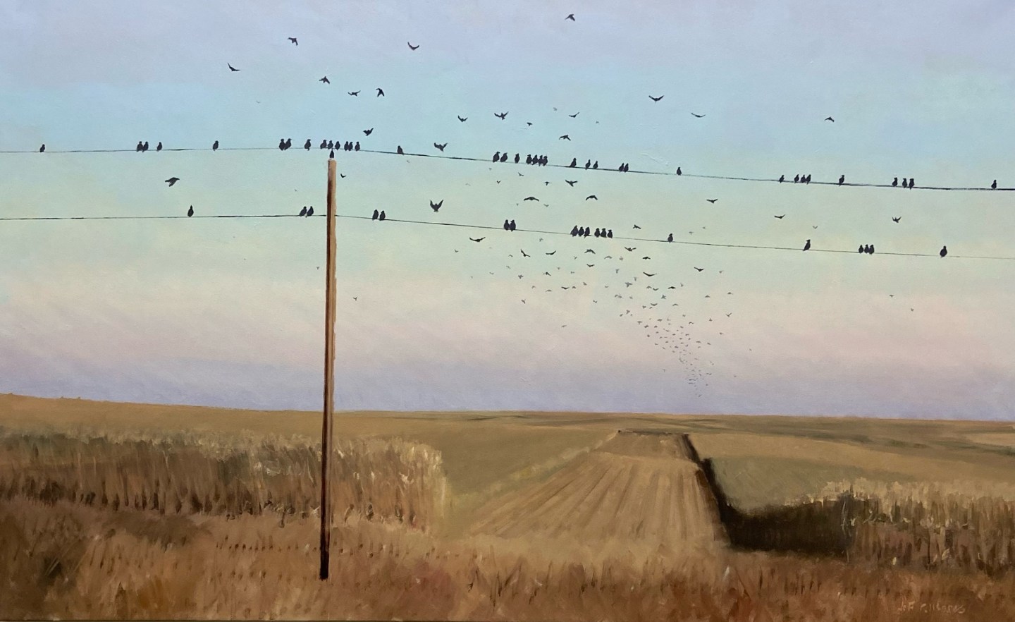 The Murmur | jeff klisares